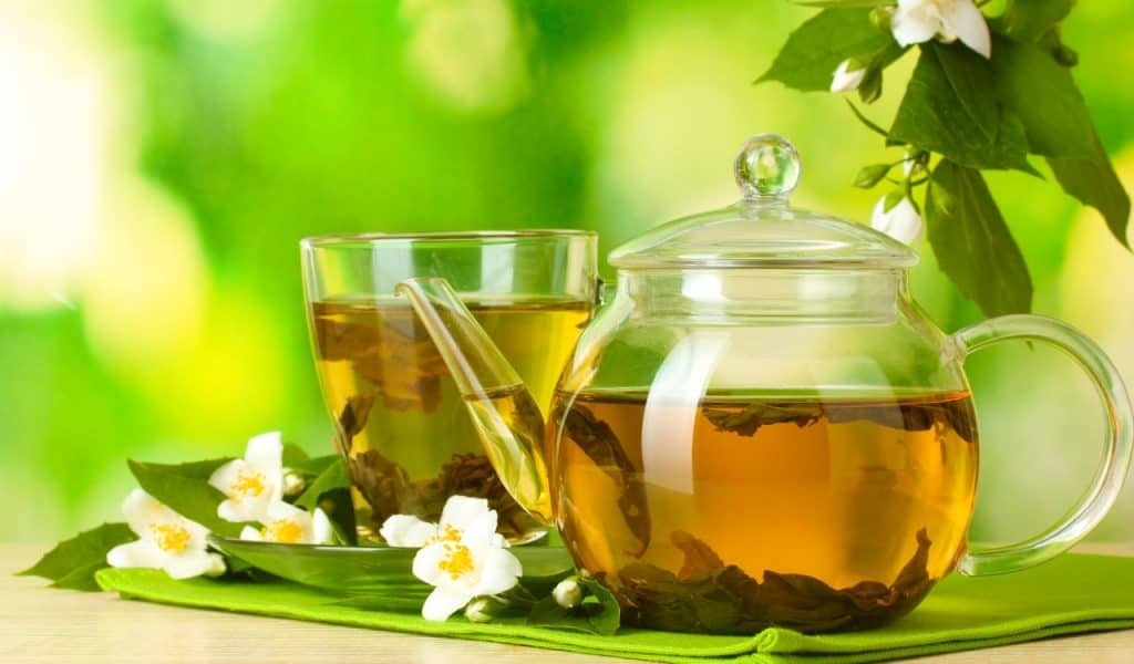 Best Green Teas & Brands Reviewed in 2022 – TheFitBay