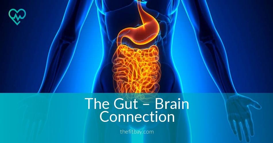 The Gut - Brain Connection: How to Keep It Healthy ⎮TheFitBay
