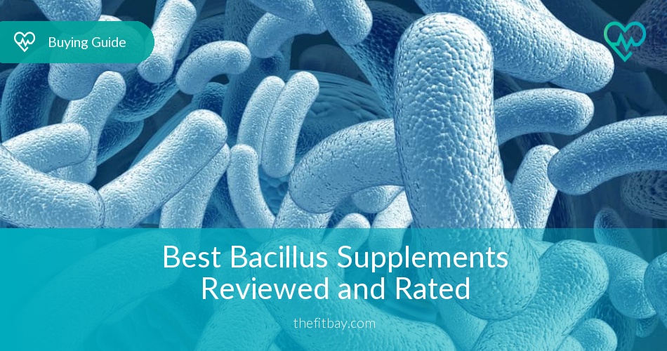 Best Bacillus Supplements Reviewed & Rated in 2020 - TheFitBay